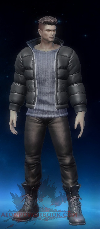 Down Jacket Outfit - Aion PowerBook