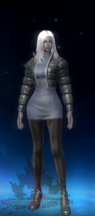 Down Jacket Outfit - Aion PowerBook