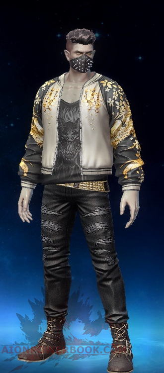 Back Alley Stray Costume - Aion PowerBook