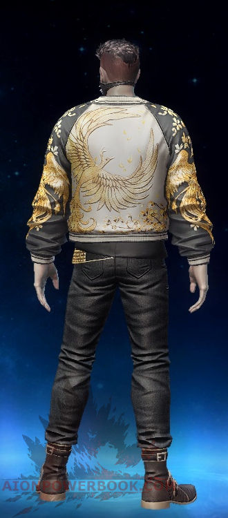 Back Alley Stray Costume - Aion PowerBook