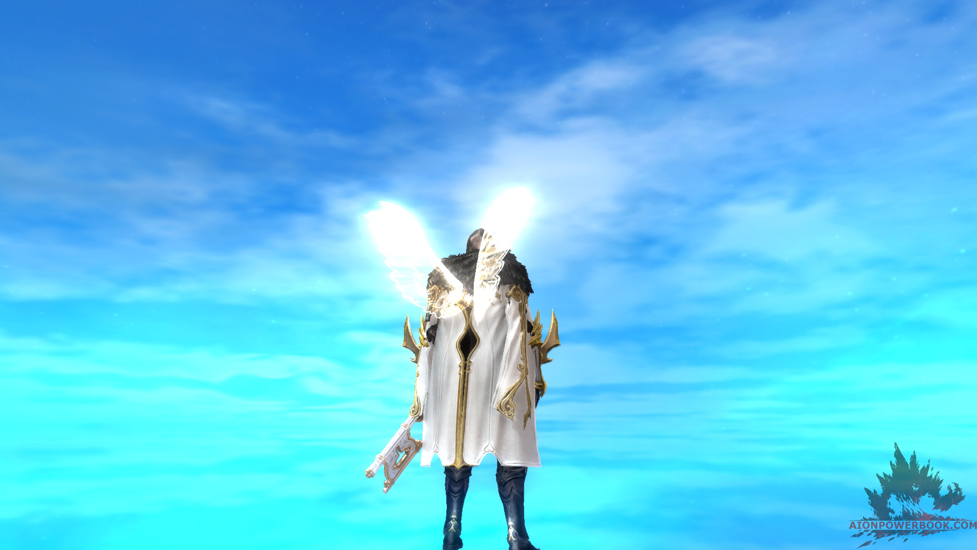 Spirit Wings - Aion PowerBook